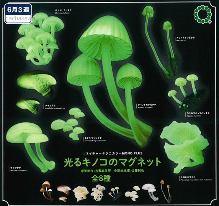 PSL Magnet all 8 sets of Capsule Nature Technicolor MONO Glowing mushr ...